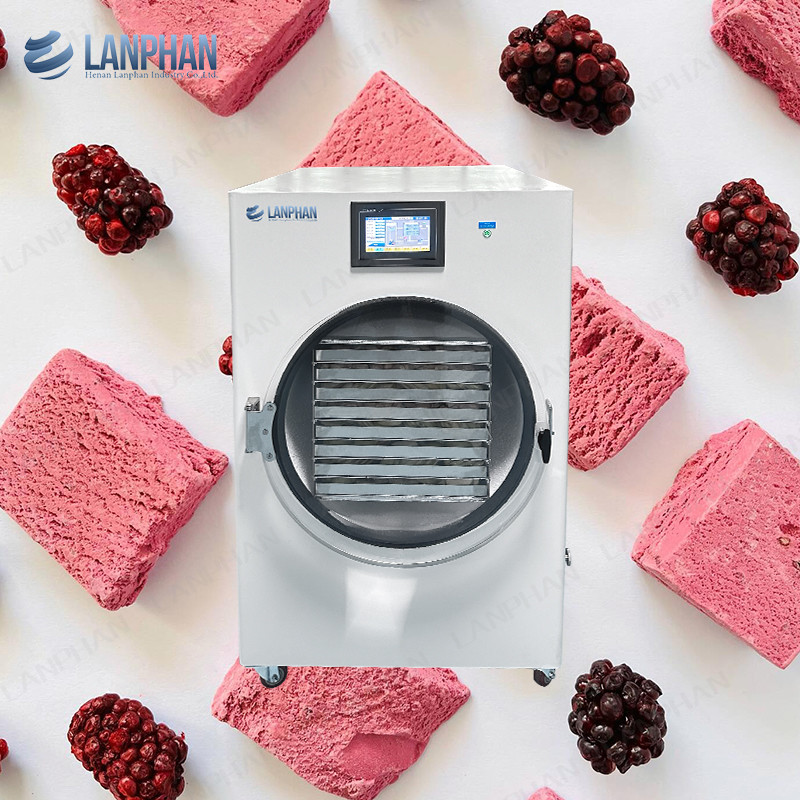 3M2 Lanphan Candy Cake Freeze Dryer Machine Fruit Vegetable Freeze ...